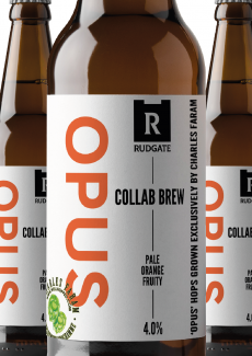 Rudgate Brewery - Home